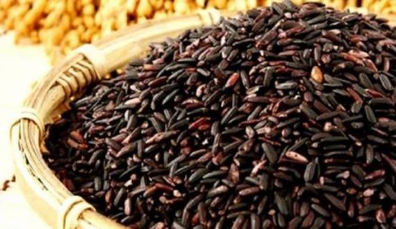 Aram Iyarkai | Best Organic & Natural Online Grocery Store In Chennai