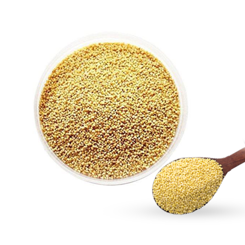 Foxtail millets are rich in iron and calcium, and thus maintain health ...